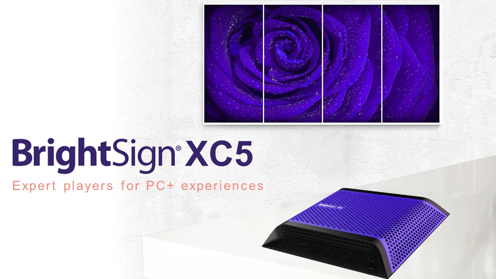 BrightSign XD5 Serie – NEDISO